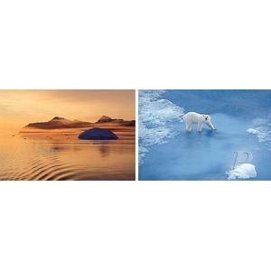 Palazzi Verlag Poster Thule Polar Bear