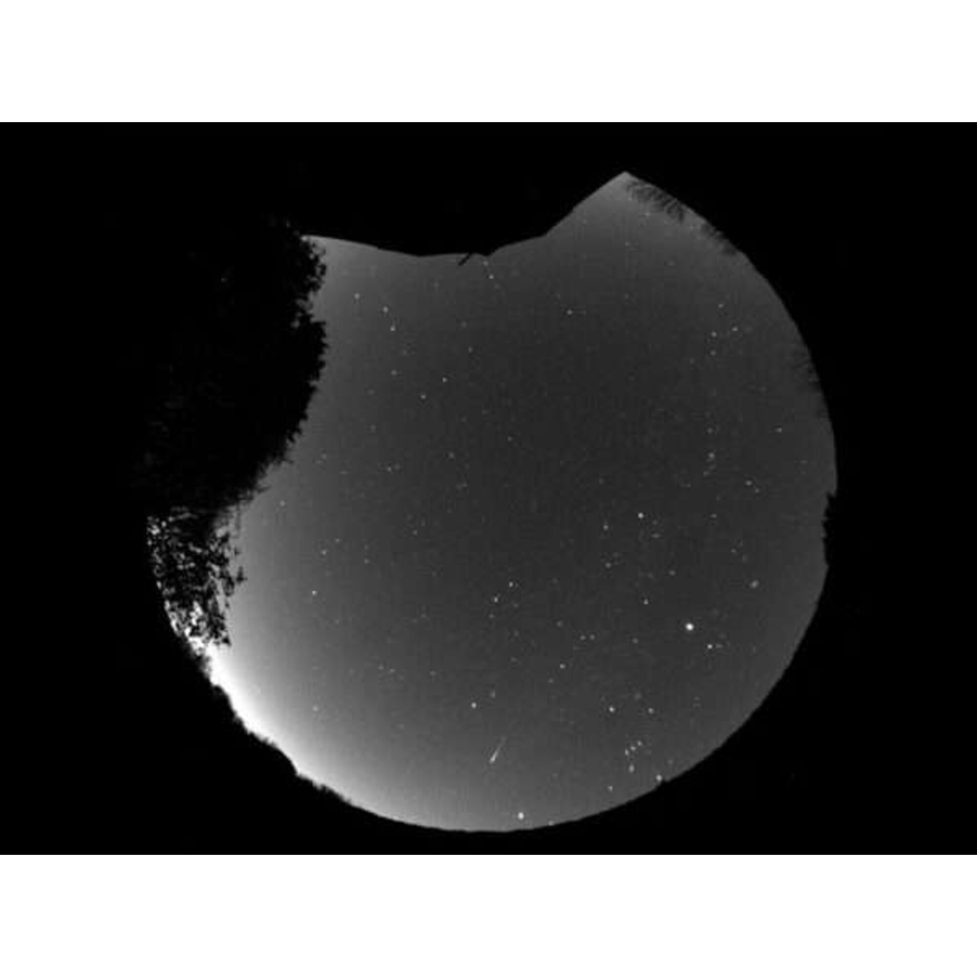 Starlight Xpress Camera Oculus PRO All Sky 180° Mono